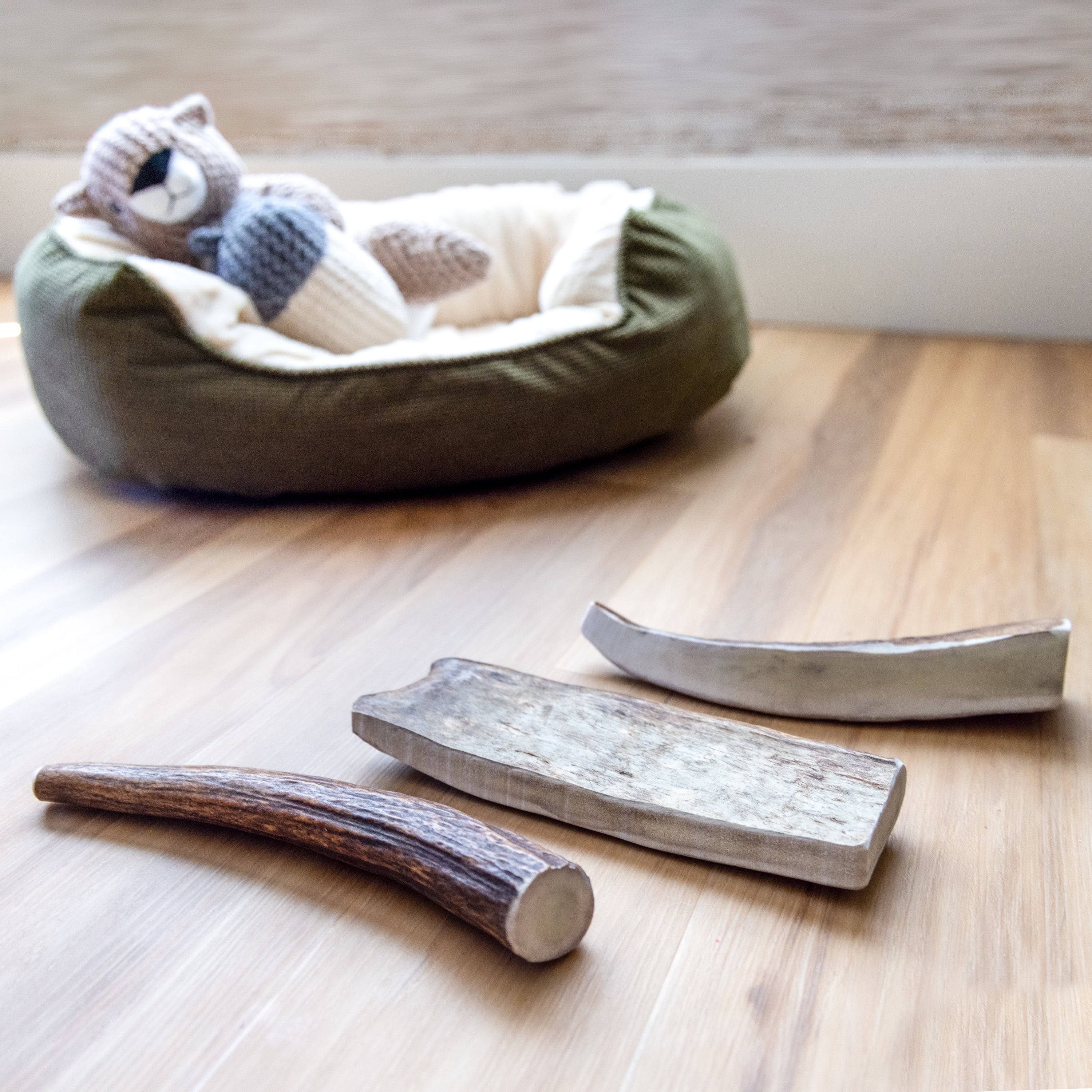 Moose Antler Chews for Dogs – RidgeRunner Antlers