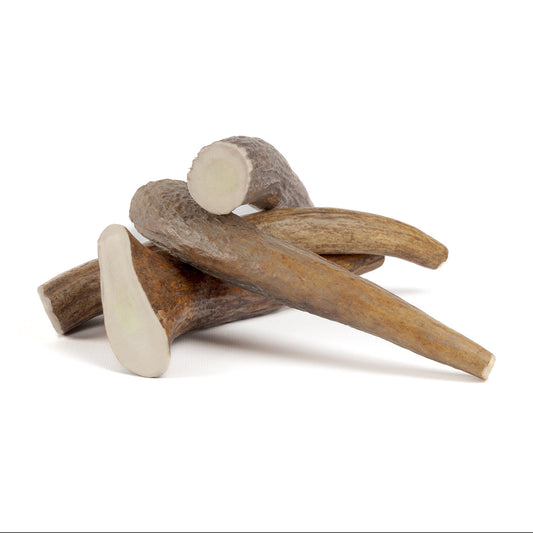 Large Dog Antler Chews – RidgeRunner Antlers