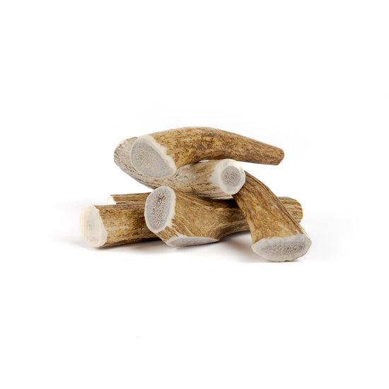 Whole Elk Antler Chews for Dogs – RidgeRunner Antlers